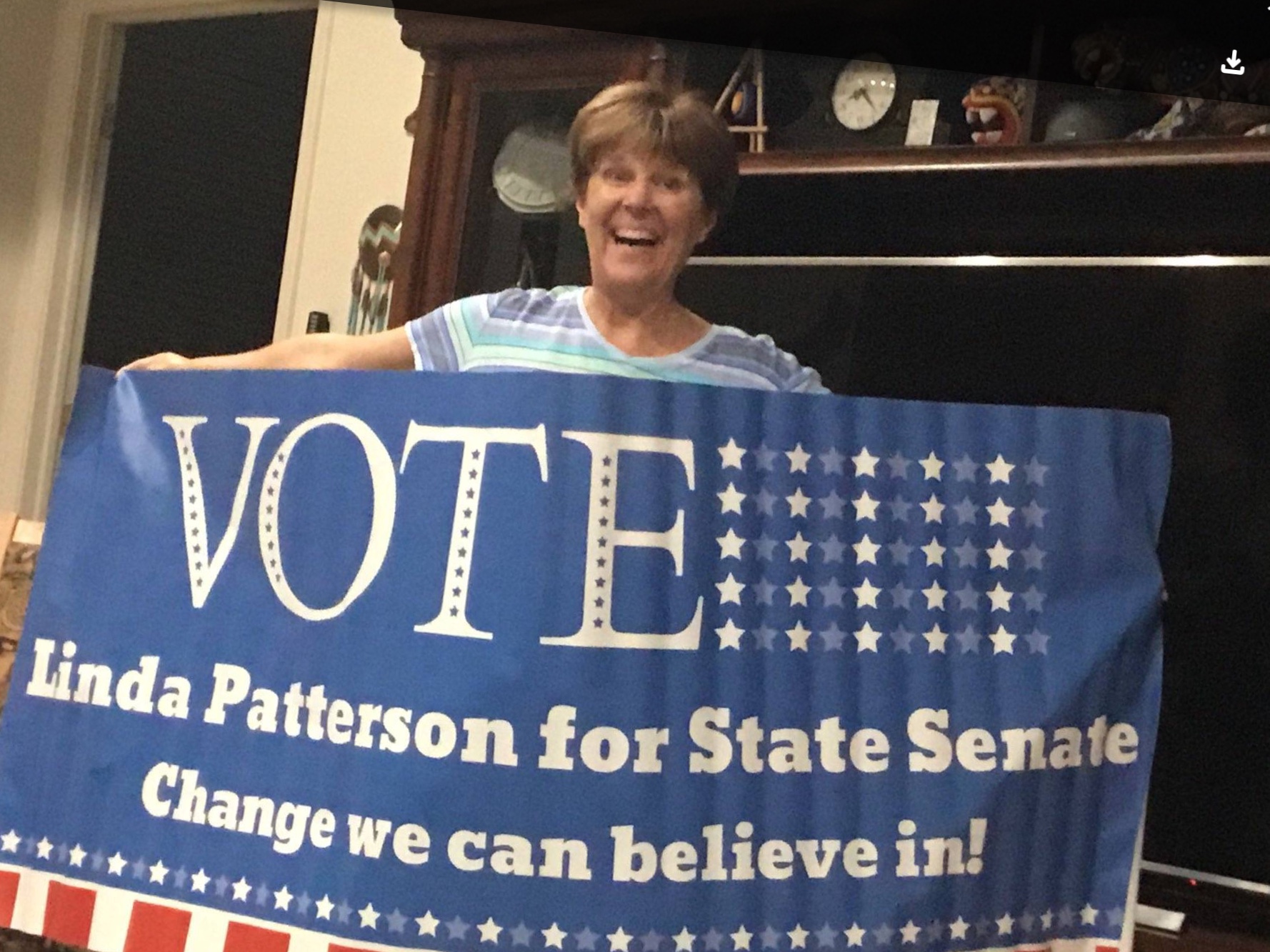 Read Linda Patterson wants to bring a New Governing Vision to ...