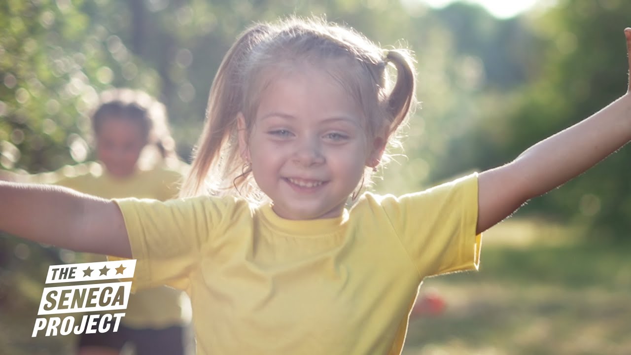 Read Enjoy the Latest Seneca and Lincoln Project Ads now from Blog for ...